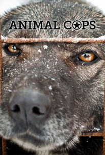 Animal Cops: Houston - Rotten Tomatoes