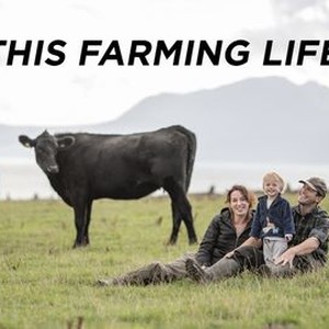 This Farming Life - Rotten Tomatoes