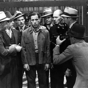 Lee Phelps - Rotten Tomatoes