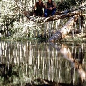 Alec Wilson - Rotten Tomatoes