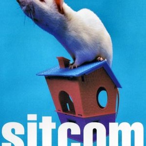 Sitcom - Rotten Tomatoes