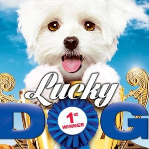 Lucky Dog - Rotten Tomatoes