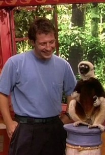 Zoboomafoo: Season 2, Episode 22 | Rotten Tomatoes
