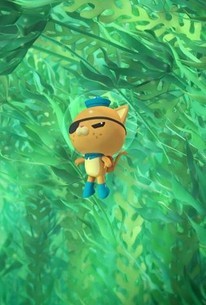 Octonauts: Season 1, Episode 15 | Rotten Tomatoes