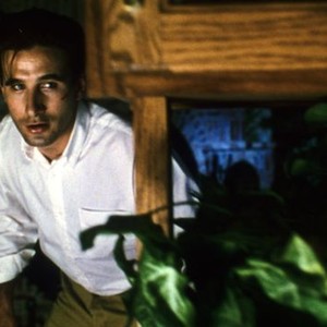 Curdled - Rotten Tomatoes