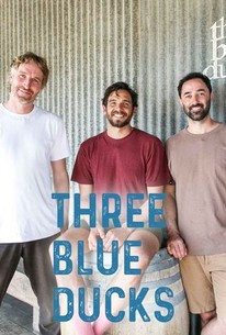 Three Blue Ducks | Rotten Tomatoes