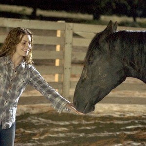 Flicka - Rotten Tomatoes