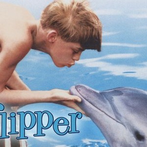 Flipper - Rotten Tomatoes