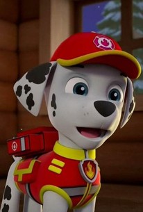 PAW Patrol: Season 2, Episode 22 - Rotten Tomatoes