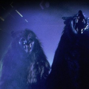 Werewolf - Rotten Tomatoes