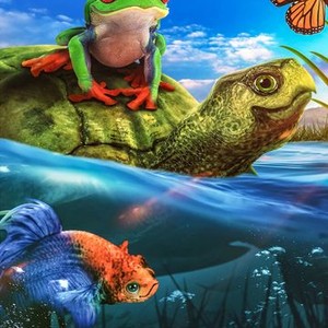 Turtle Tale - Rotten Tomatoes