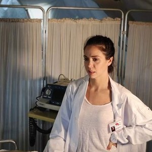 The Last Fighter - Rotten Tomatoes