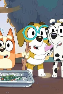 Bluey: Season 1, Episode 13 | Rotten Tomatoes
