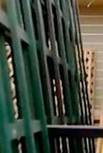 Numberjacks: Season 2, Episode 12 | Rotten Tomatoes