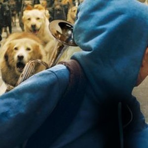 White God - Rotten Tomatoes