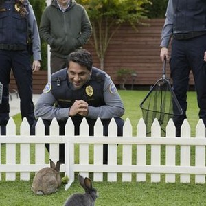 Animal Control - Rotten Tomatoes