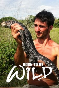 Born to be Wild: Season 1 | Rotten Tomatoes