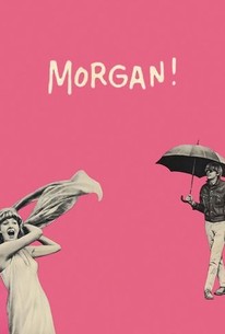 Morgan! | Rotten Tomatoes