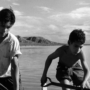 Araya - Rotten Tomatoes