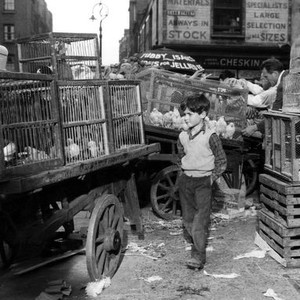 Jonathan Ashmore - Rotten Tomatoes