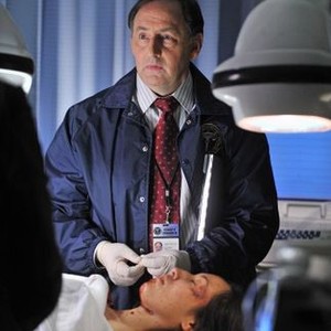 Arye Gross - Rotten Tomatoes