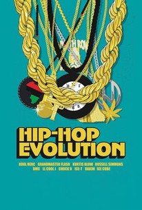 Hip-Hop Evolution | Rotten Tomatoes