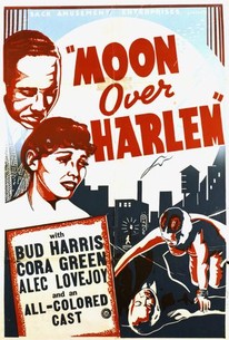 Alec Lovejoy - Rotten Tomatoes