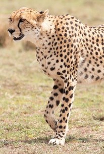 Chasing the Rains: Season 1, Episode 2 | Rotten Tomatoes