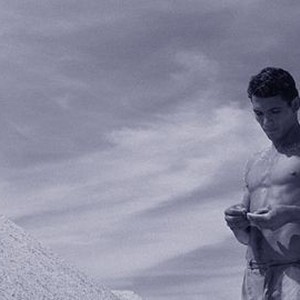 Araya - Rotten Tomatoes