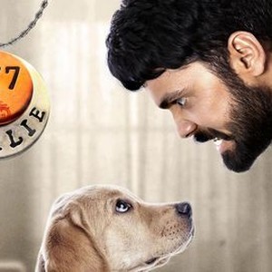 777 Charlie - Rotten Tomatoes