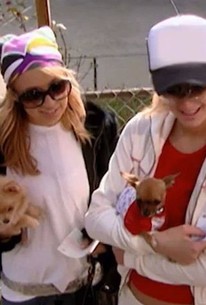 The Simple Life: Season 3, Episode 3 | Rotten Tomatoes