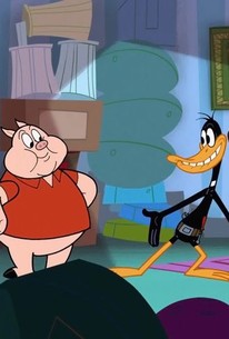 Wabbit: Season 2, Episode 14 | Rotten Tomatoes