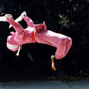 The Ninja Showdown - Rotten Tomatoes