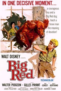 Big Red - Rotten Tomatoes