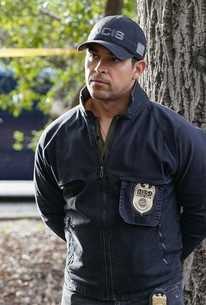 NCIS: Season 20, Episode 20 | Rotten Tomatoes