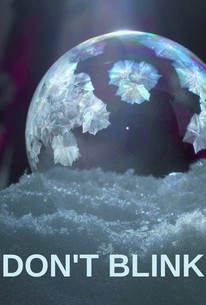 Don't Blink | Rotten Tomatoes