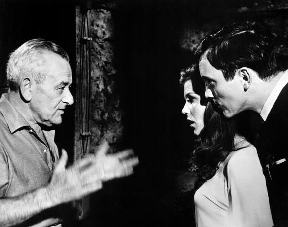 Terence Stamp The Collector