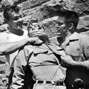 Leo Gordon - Rotten Tomatoes