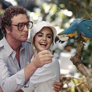 Michelle Johnson - Rotten Tomatoes