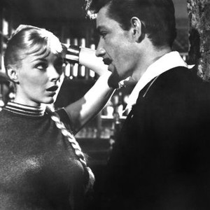 Don Sullivan - Rotten Tomatoes