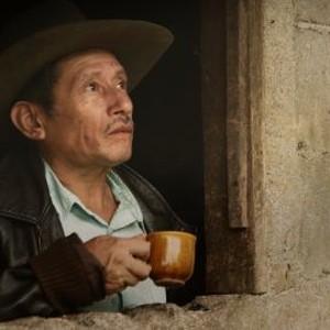 A Film About Coffee - Rotten Tomatoes