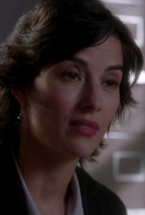 The Guardian: Season 3, Episode 6 | Rotten Tomatoes