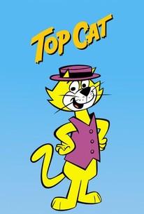Top Cat | Rotten Tomatoes
