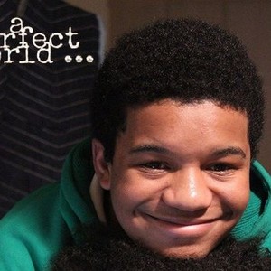 In a Perfect World... - Rotten Tomatoes