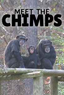 Meet the Chimps | Rotten Tomatoes