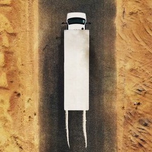 Swamp Lion - Rotten Tomatoes