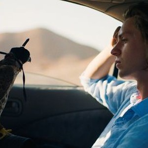 The Falconer - Rotten Tomatoes