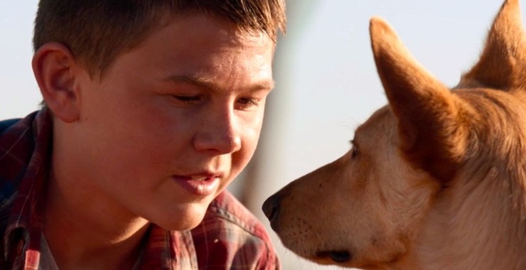 Buckley's Chance - Rotten Tomatoes