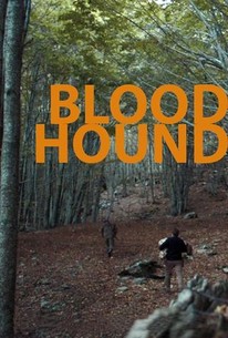 Bloodhound | Rotten Tomatoes