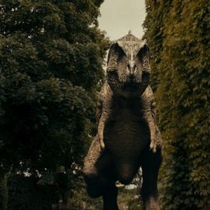 Hatched - Rotten Tomatoes